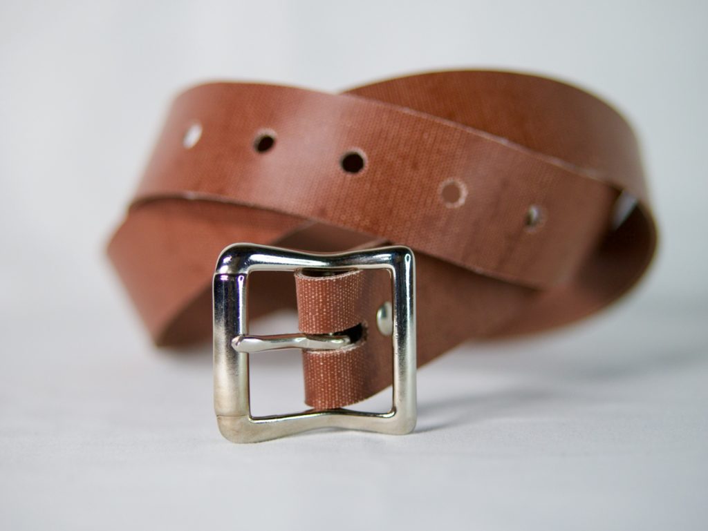 Camel - Held Gear